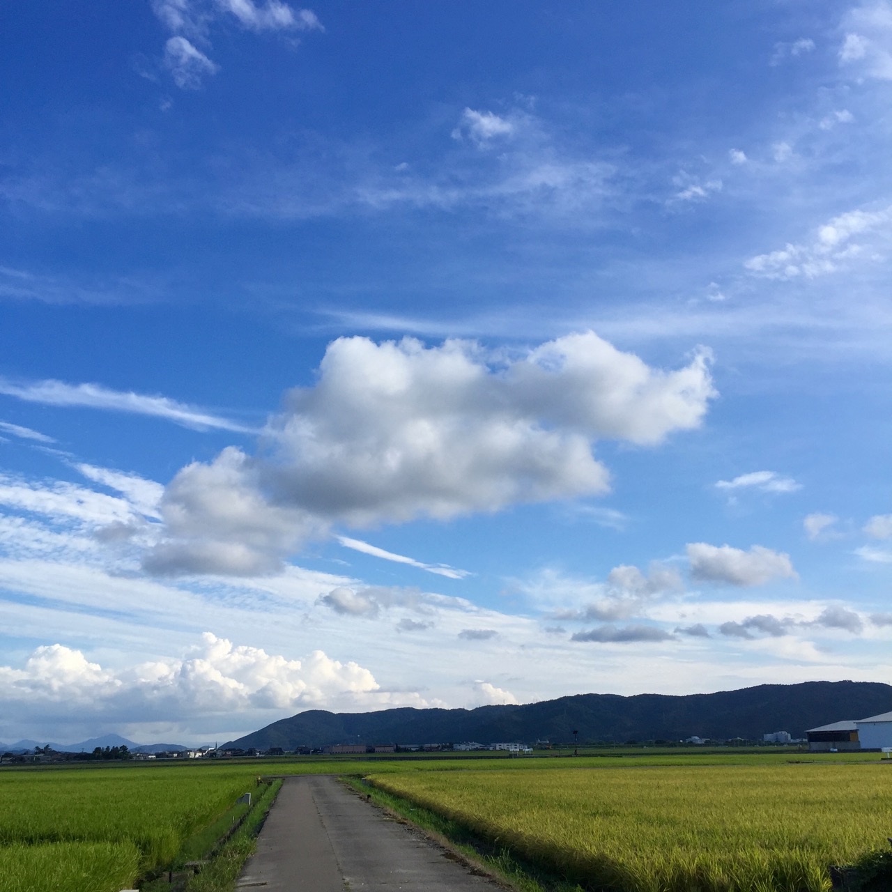 15_9_2_2 | ＋＋glass atelier えむに＋＋